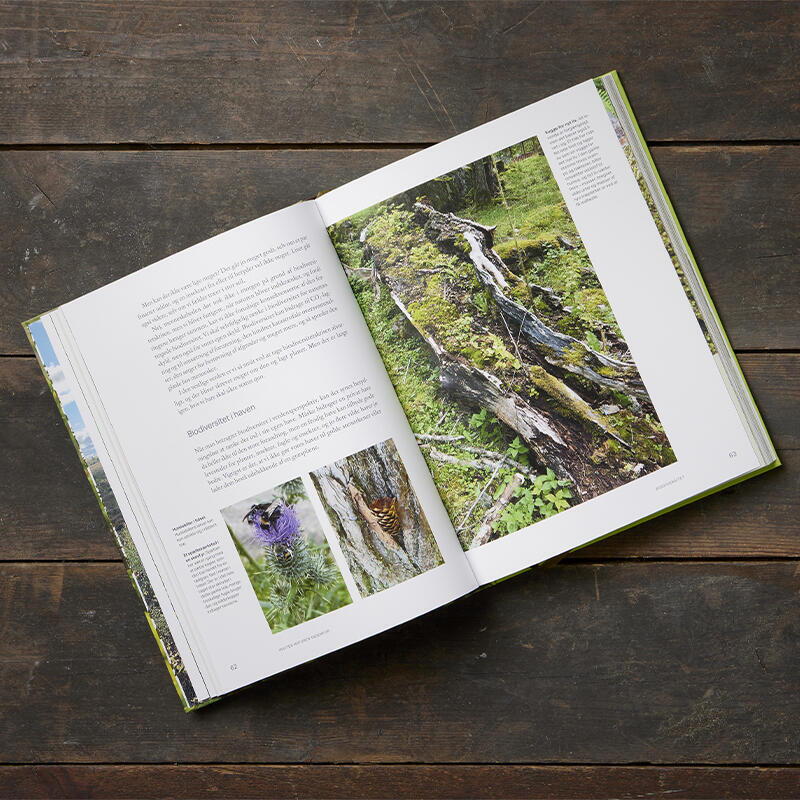 Vilde Naturhaver｜Smuk naturlig have｜vild inspiration